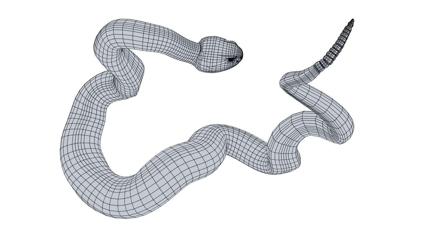 Eastern Diamondback Rattlesnake Animated - 3D Model by Dibia Digital