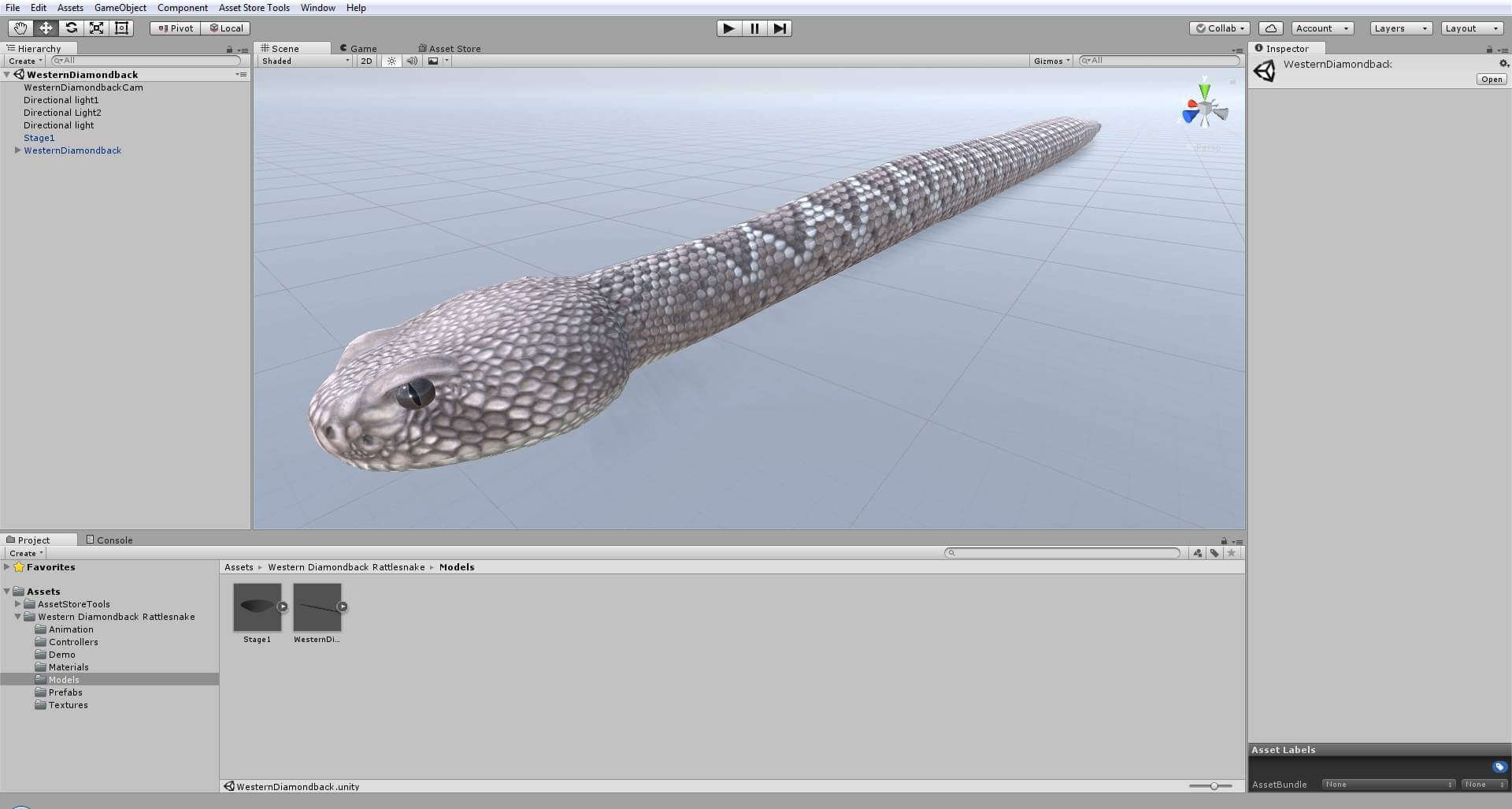 Eastern Diamondback Rattlesnake Animated - 3D Model by Dibia Digital