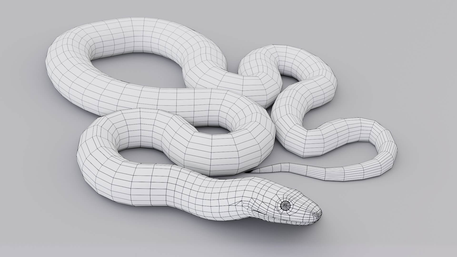 Animated Green Mamba - 3D Model by Dibia Digital
