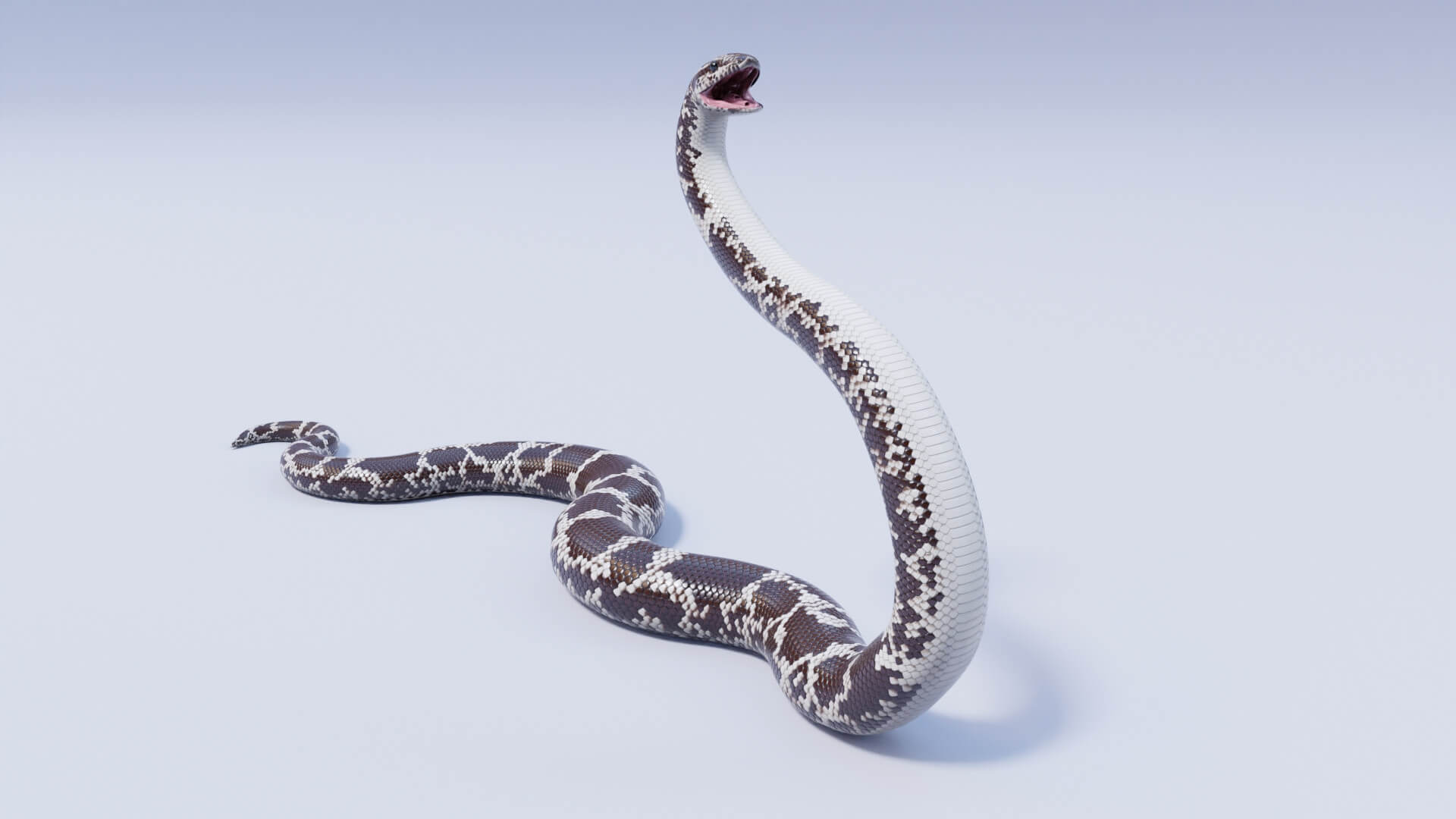 Animated Kenyan Sand Boa - 3D Model by Dibia Digital