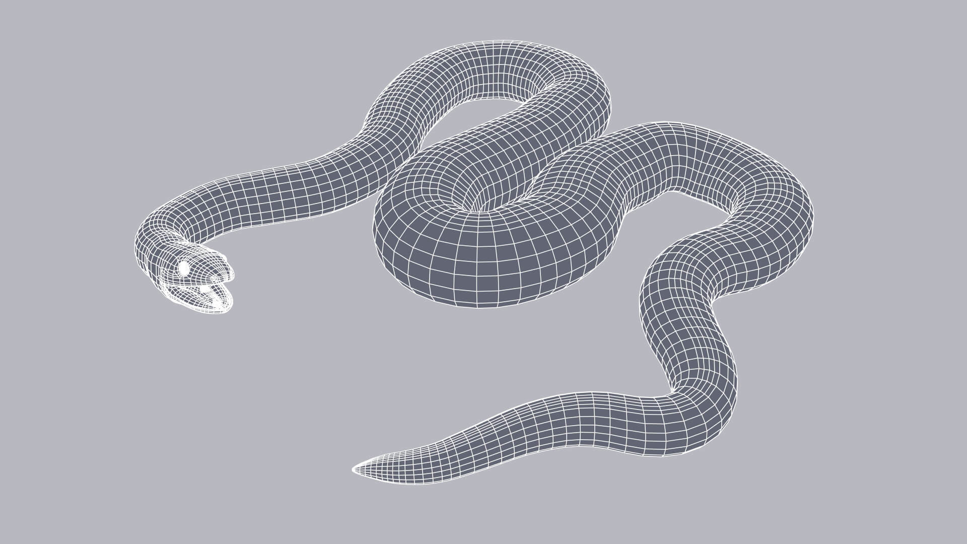 Animated Kenyan Sand Boa - 3D Model by Dibia Digital