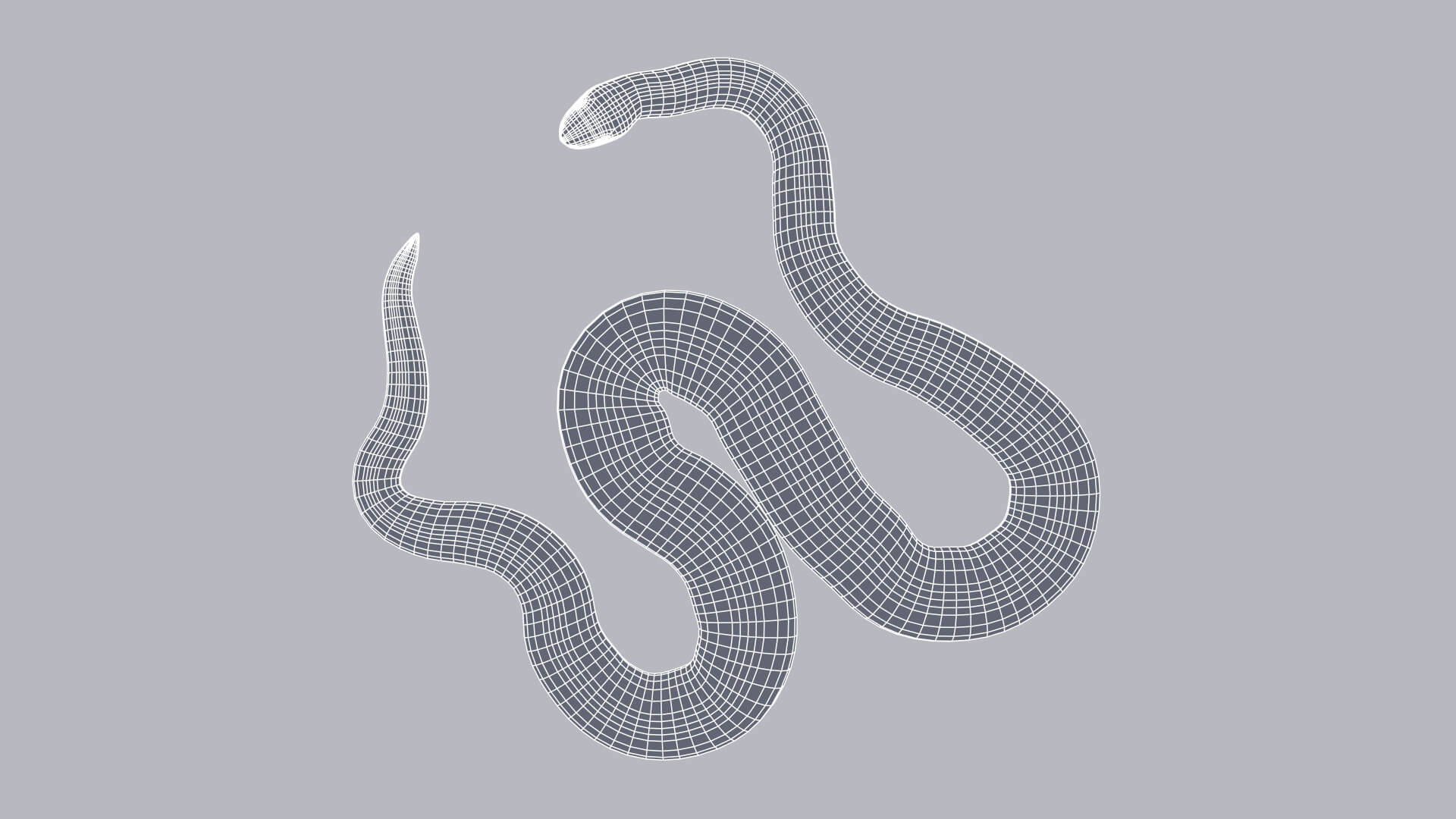 Animated Kenyan Sand Boa - 3D Model by Dibia Digital