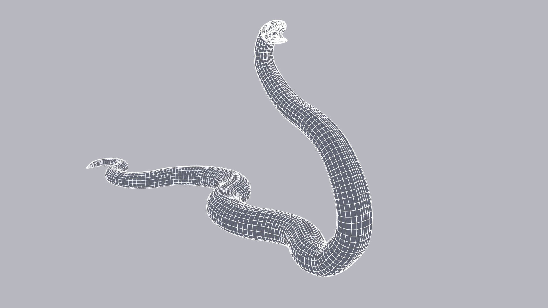 Animated Kenyan Sand Boa - 3D Model by Dibia Digital