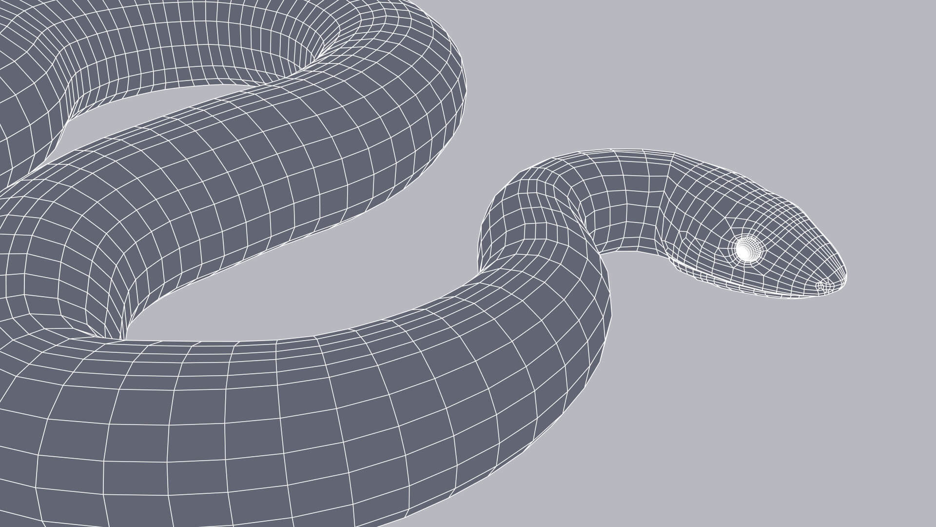 Animated Kenyan Sand Boa - 3D Model by Dibia Digital