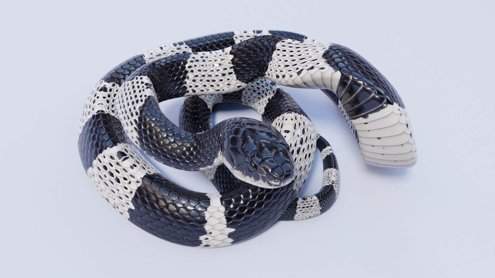 Animated Malayan Krait - 3D Model by Dibia Digital