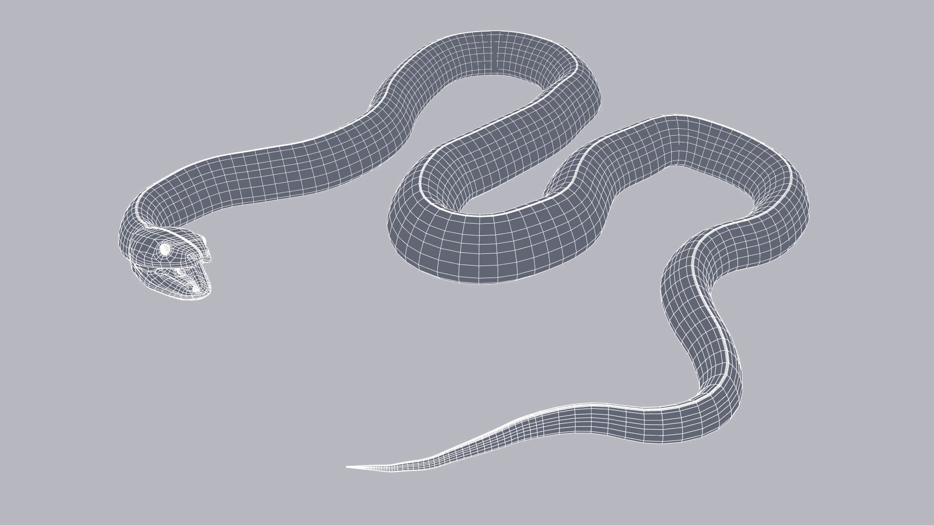 Animated Malayan Krait - 3D Model by Dibia Digital