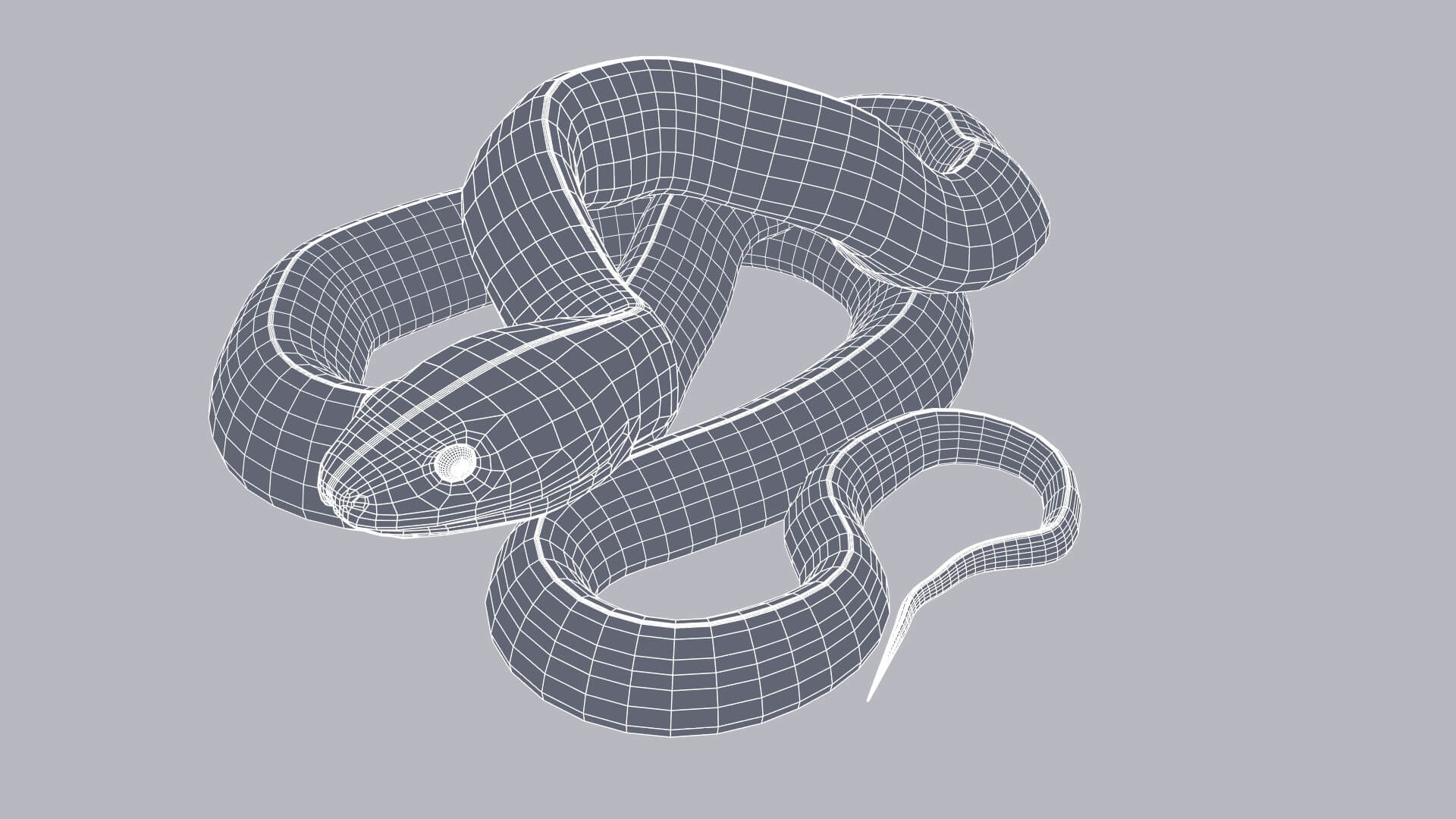 Animated Malayan Krait - 3D Model by Dibia Digital