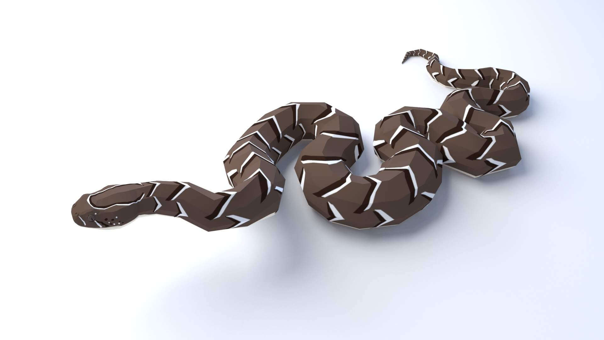 Puff Adder Animated 3d Model By Dibia Digital