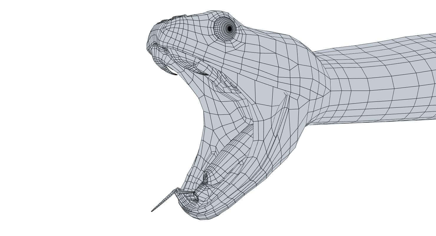 Puff Adder Animated - 3D Model by Dibia Digital