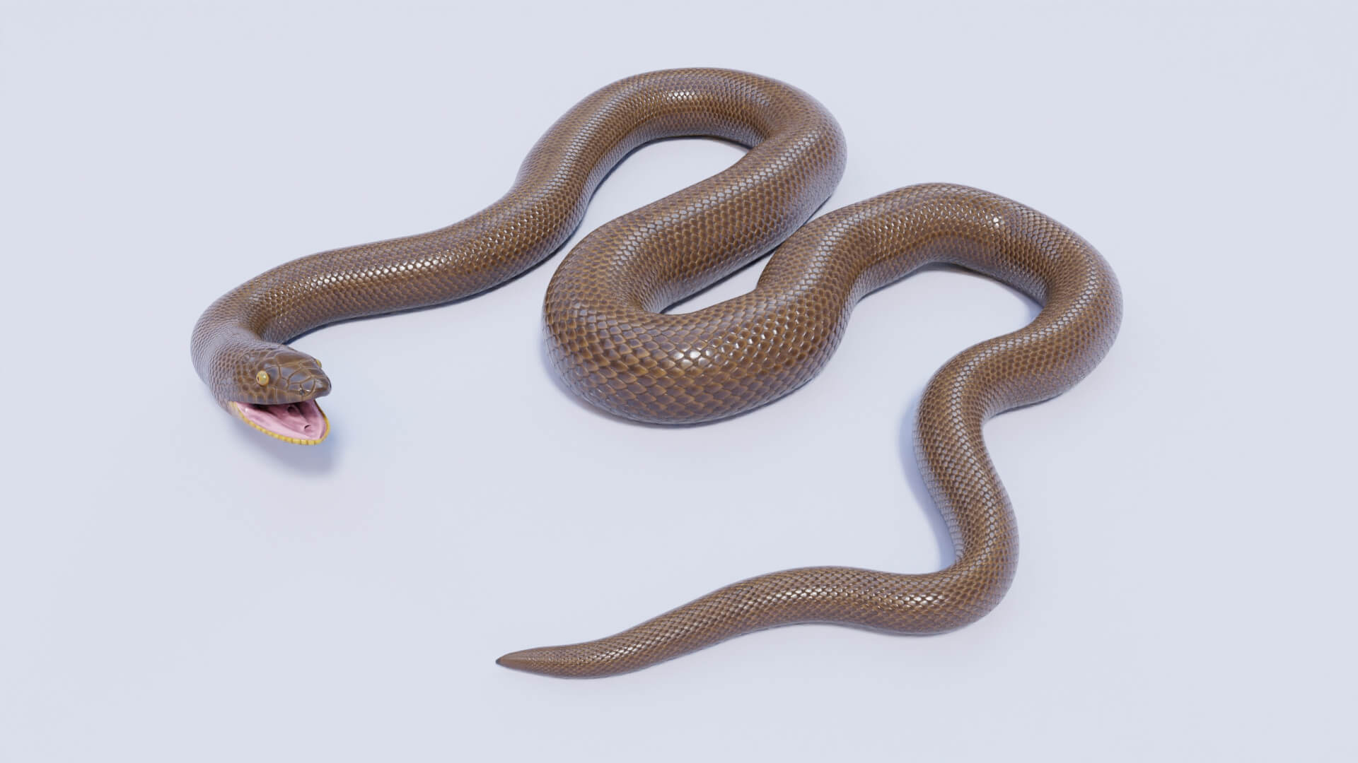 Animated Rubber Boa - 3D Model by Dibia Digital