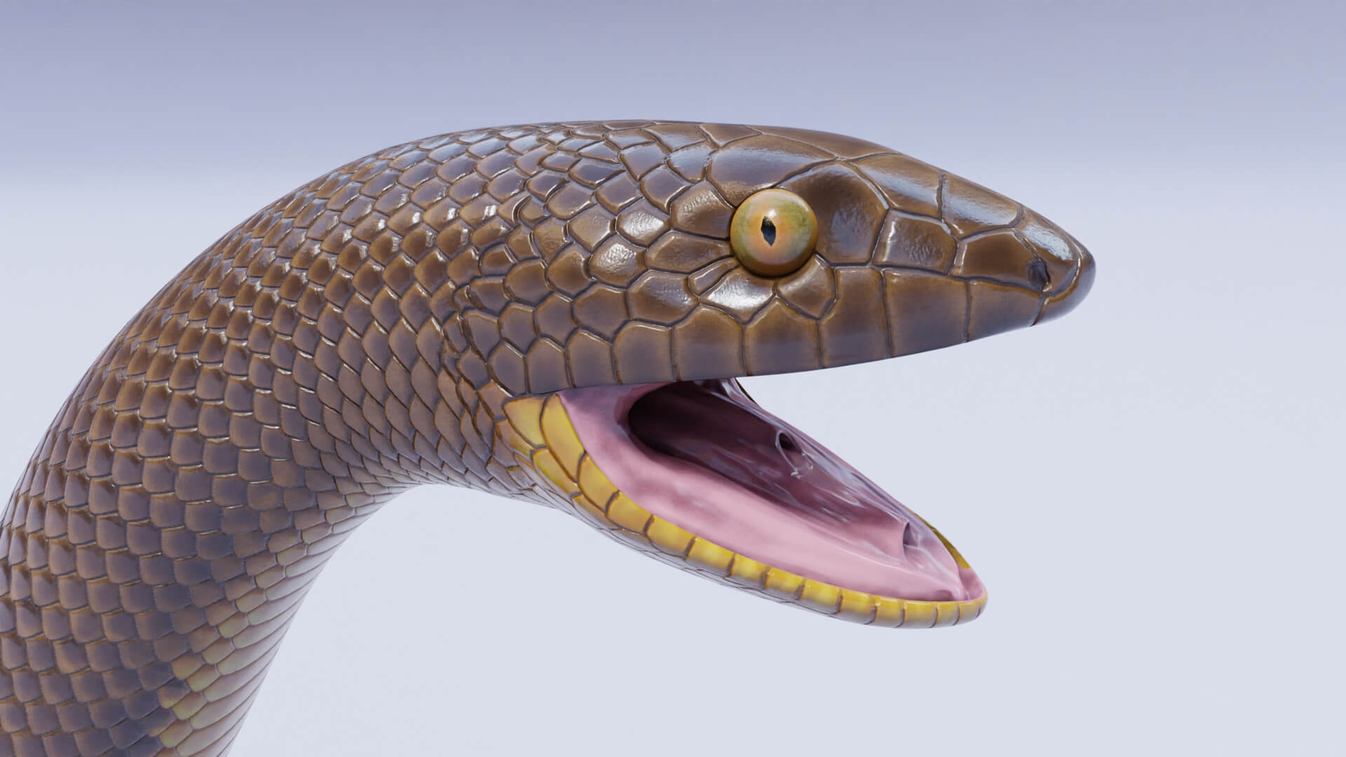 Animated Rubber Boa - 3D Model by Dibia Digital