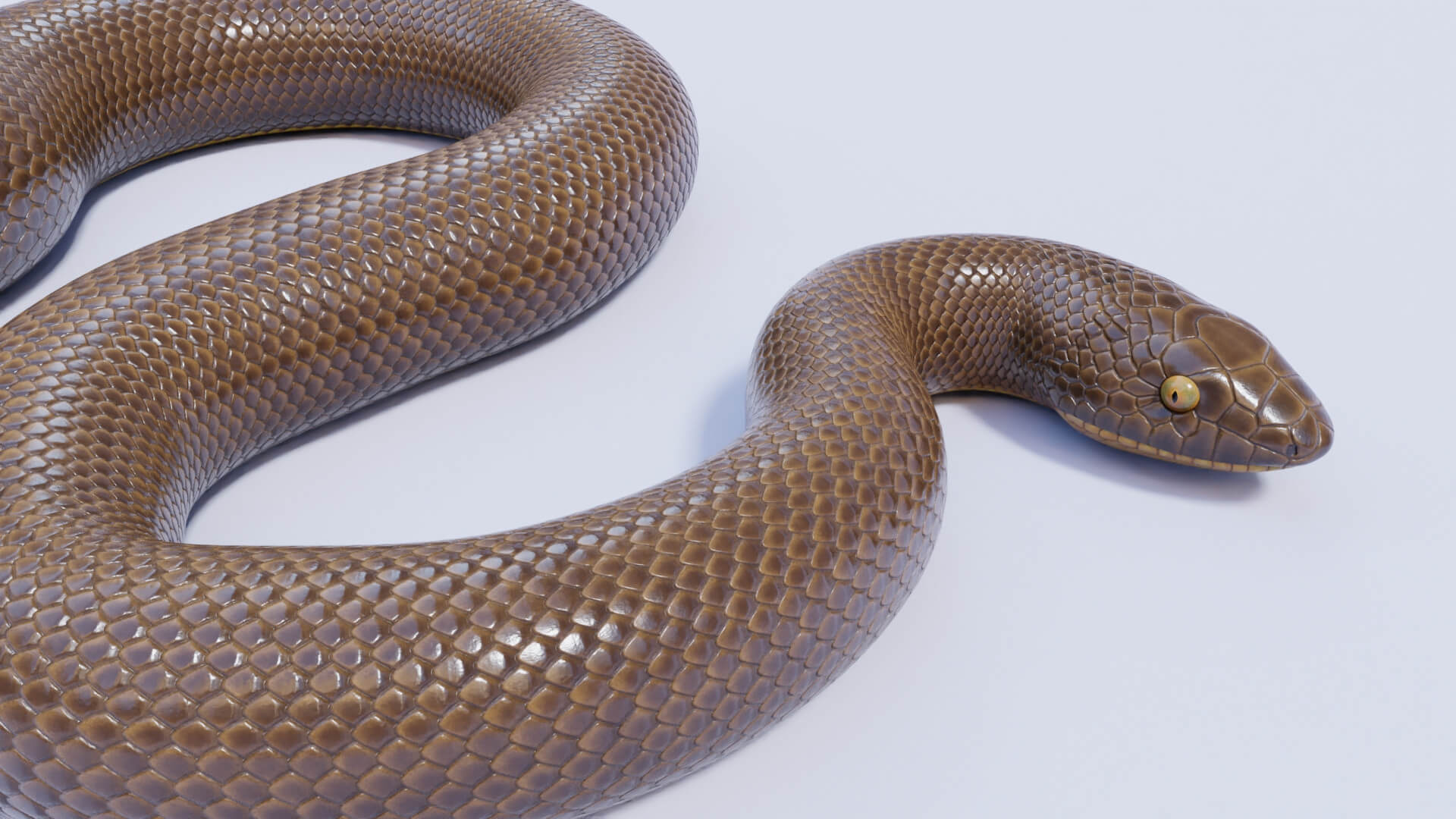 Animated Rubber Boa - 3D Model by Dibia Digital