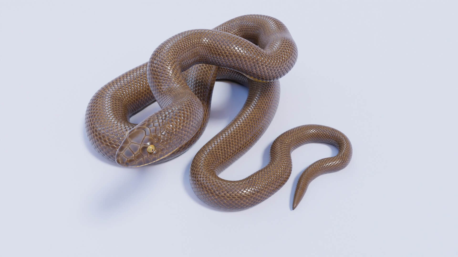 Animated Rubber Boa - 3D Model by Dibia Digital
