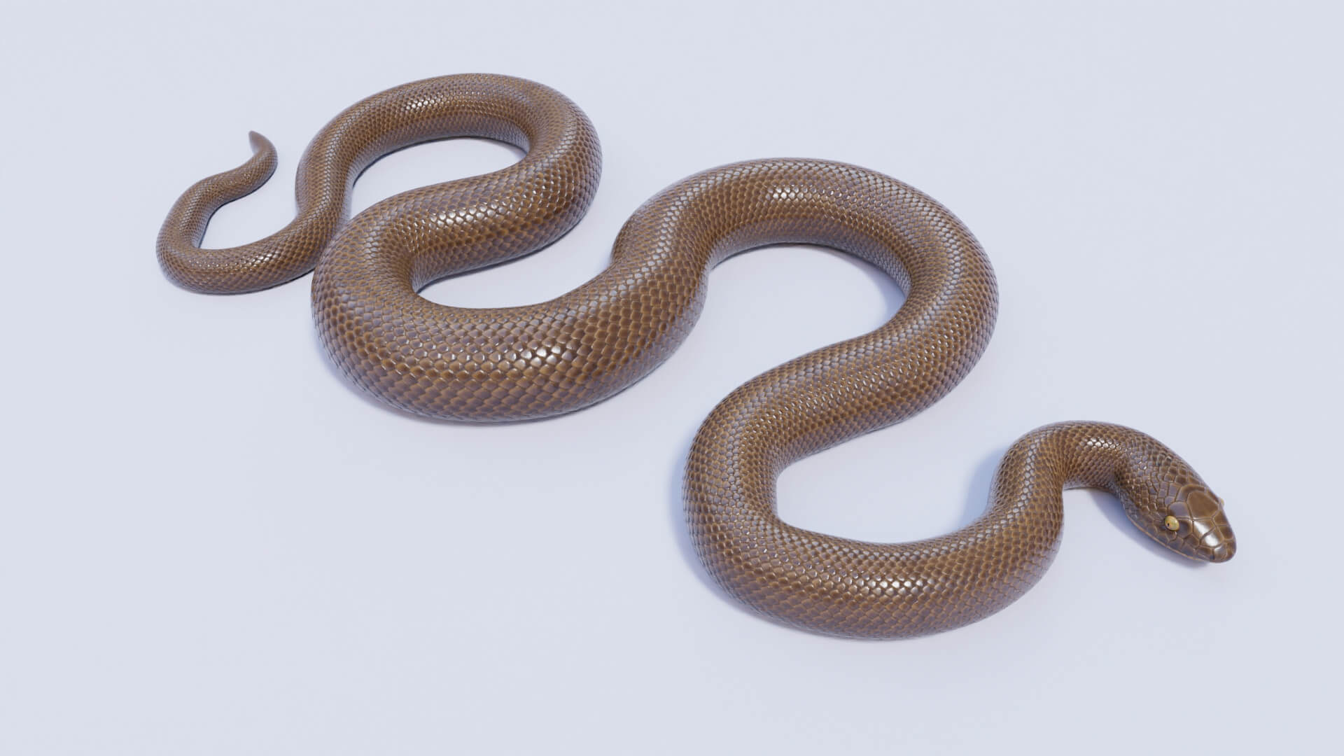 Animated Rubber Boa - 3D Model by Dibia Digital