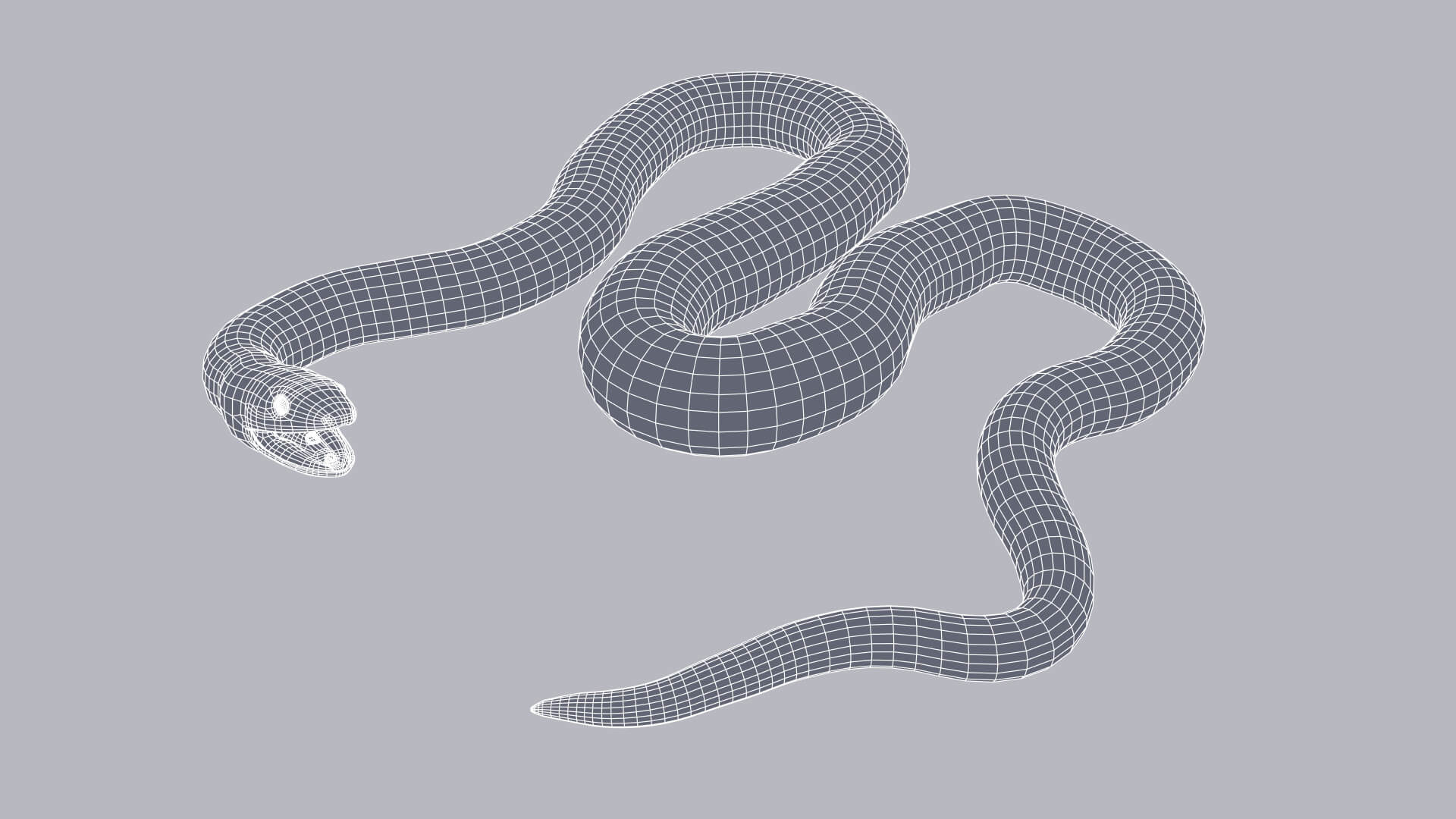 Animated Rubber Boa - 3D Model by Dibia Digital