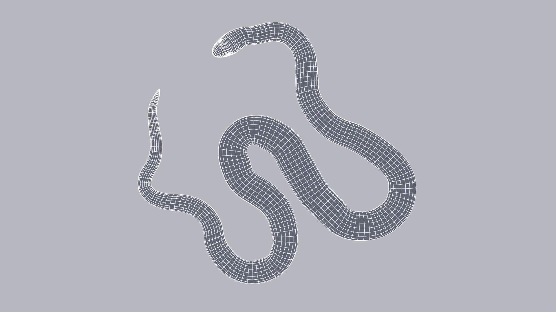 Animated Rubber Boa - 3D Model by Dibia Digital