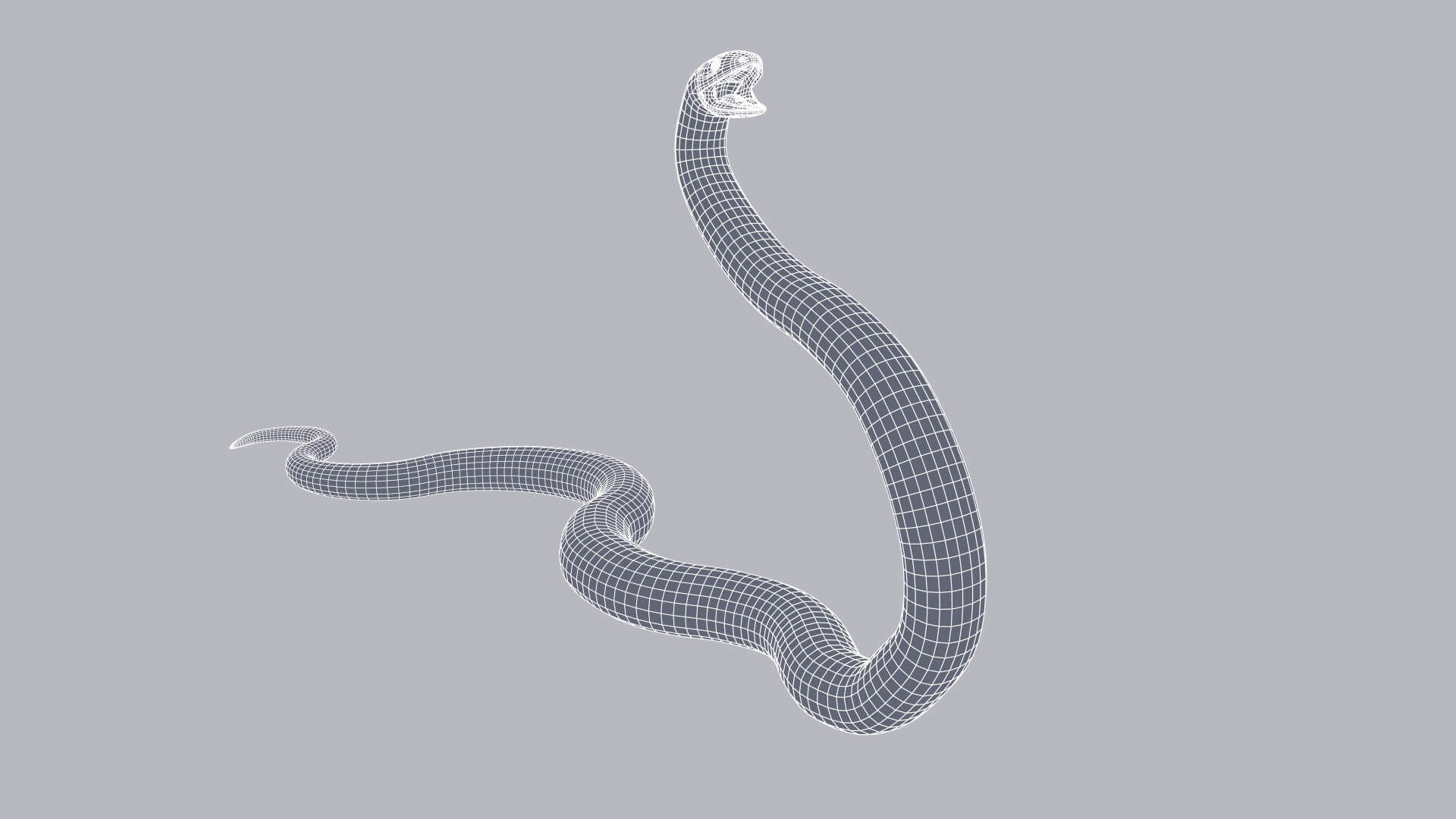 Animated Rubber Boa - 3D Model by Dibia Digital