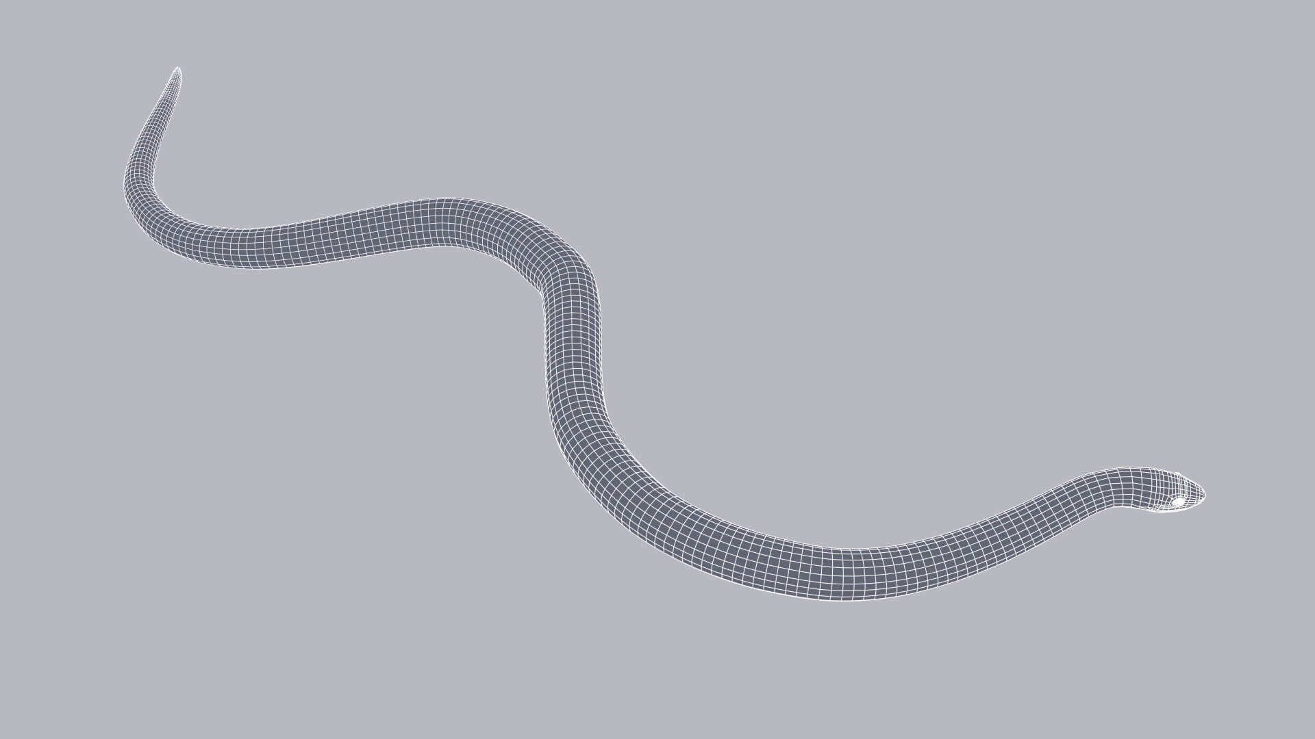 Animated Rubber Boa - 3D Model by Dibia Digital