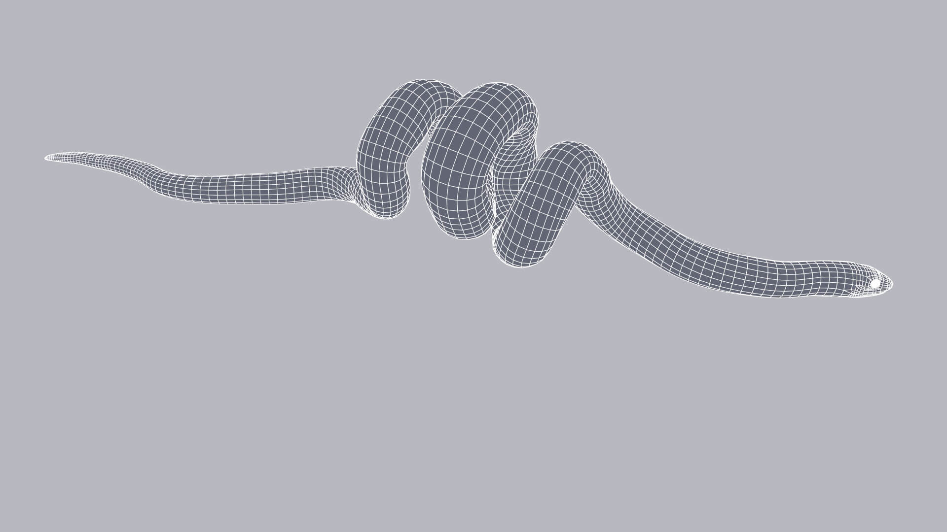 Animated Rubber Boa - 3D Model by Dibia Digital