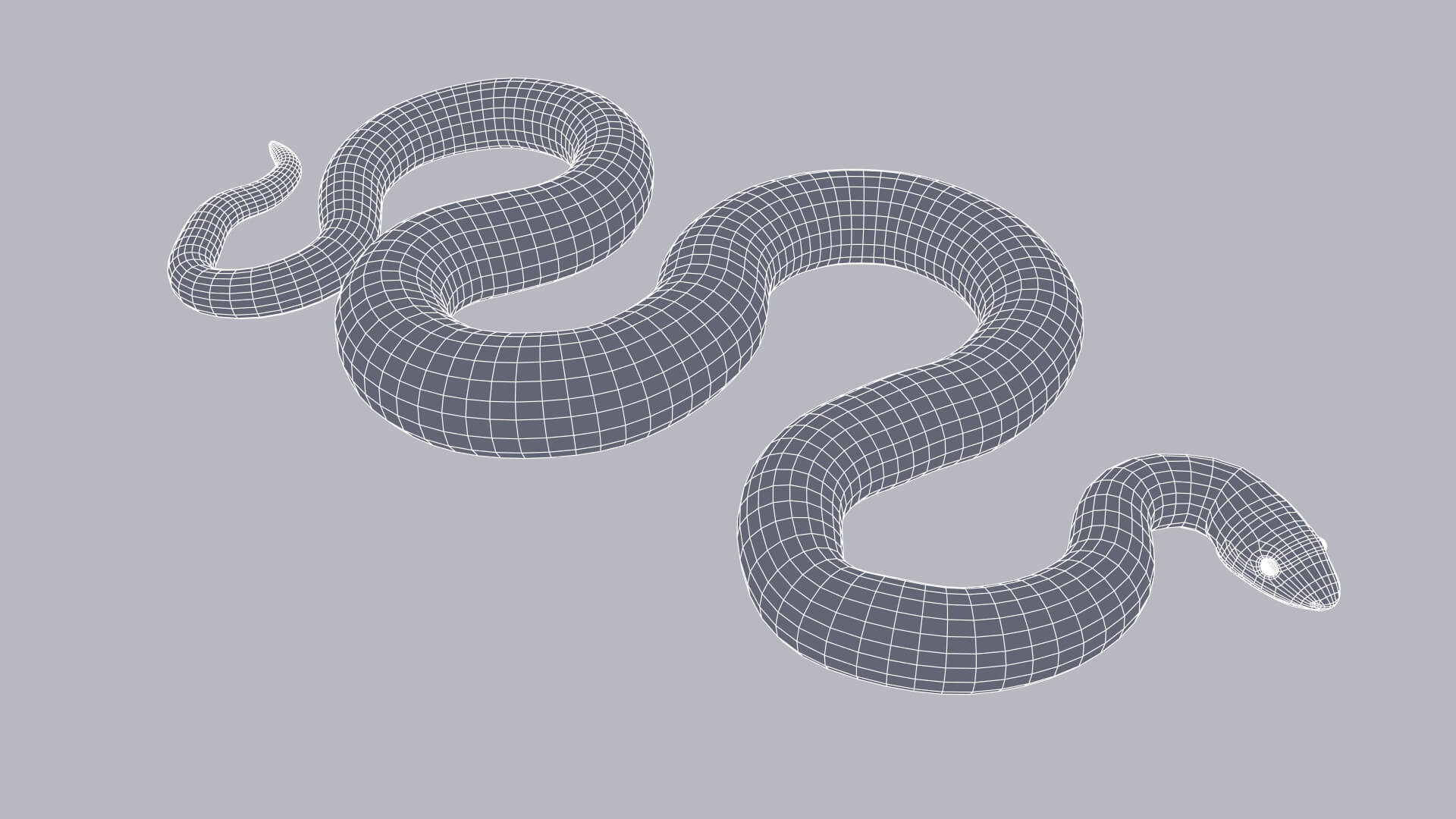 Animated Rubber Boa - 3D Model by Dibia Digital