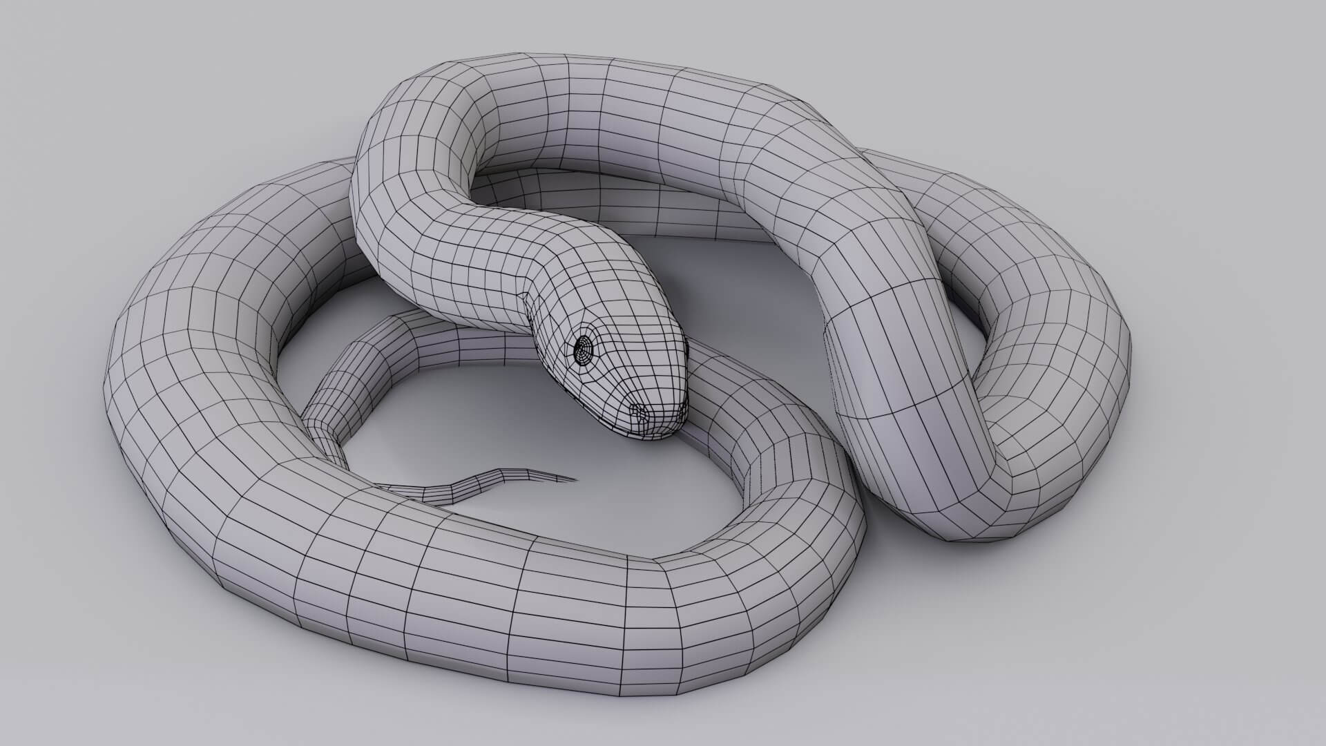 Animated Scarlet Kingsnake - 3D Model by Dibia Digital