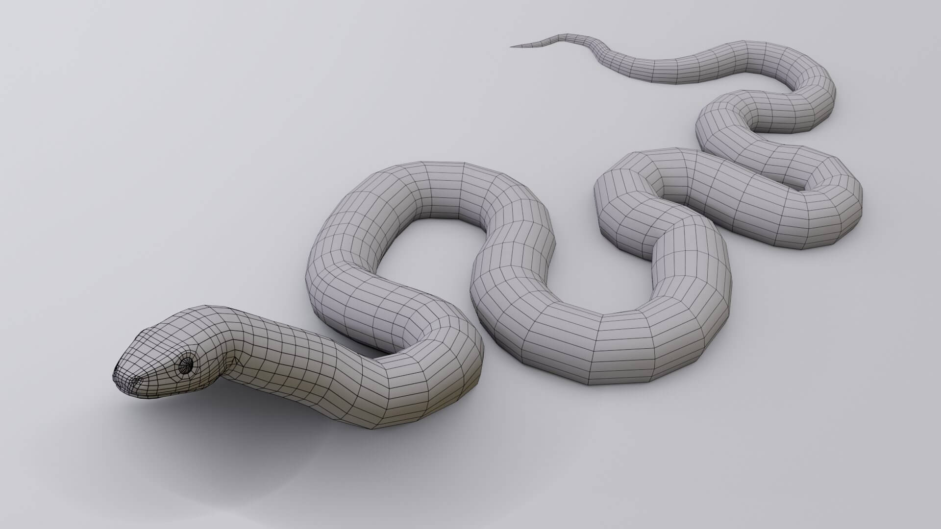 Animated Scarlet Kingsnake - 3D Model by Dibia Digital