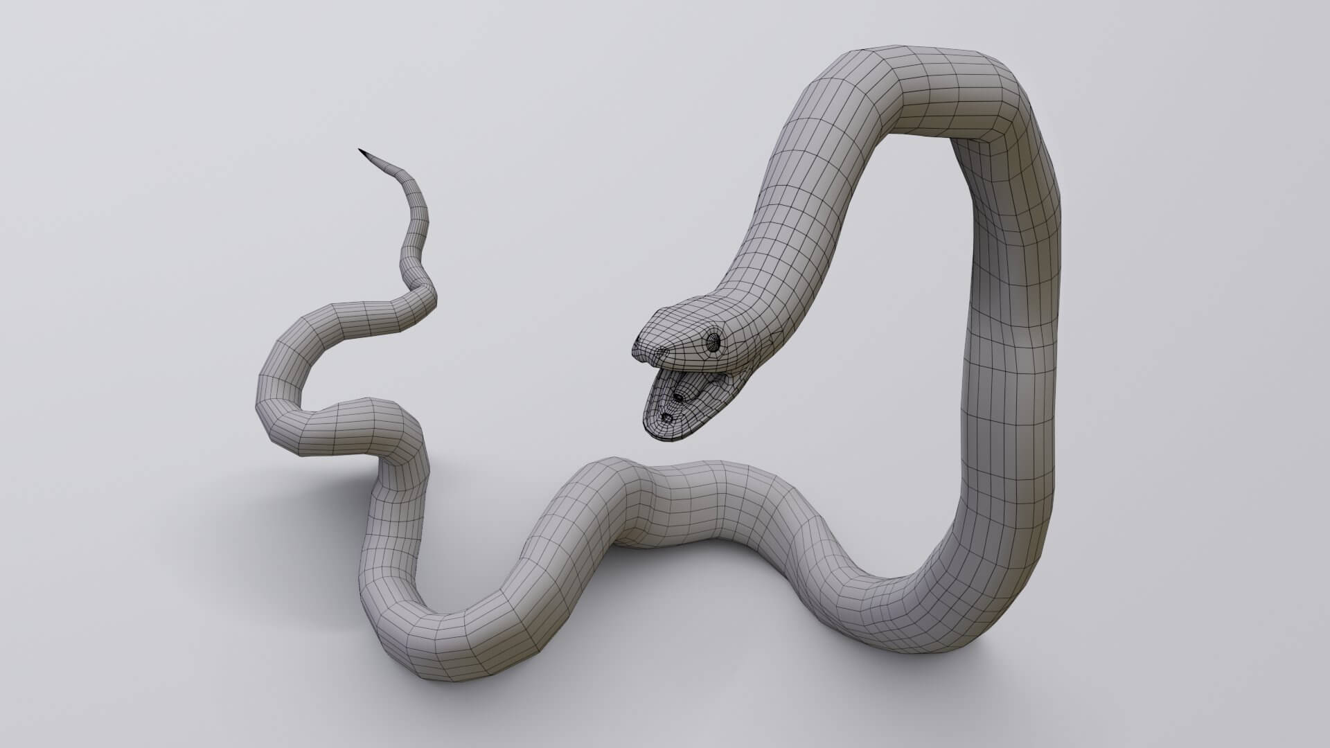 Animated Scarlet Kingsnake - 3D Model by Dibia Digital