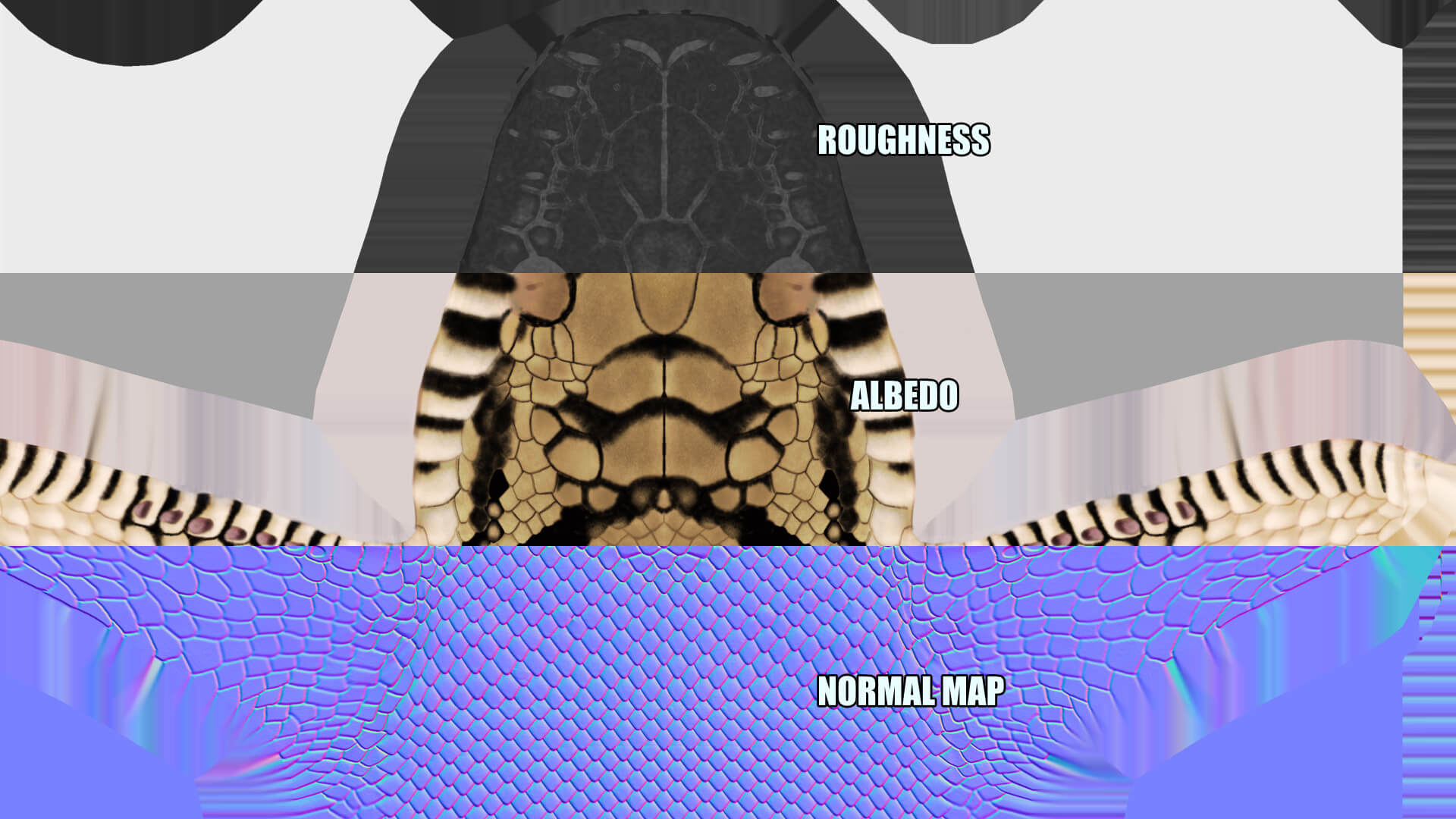 Animated Scrub Python - 3D Model by Dibia Digital