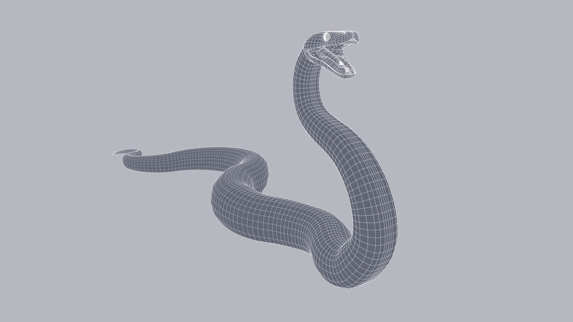 Animated Scrub Python - 3D Model by Dibia Digital