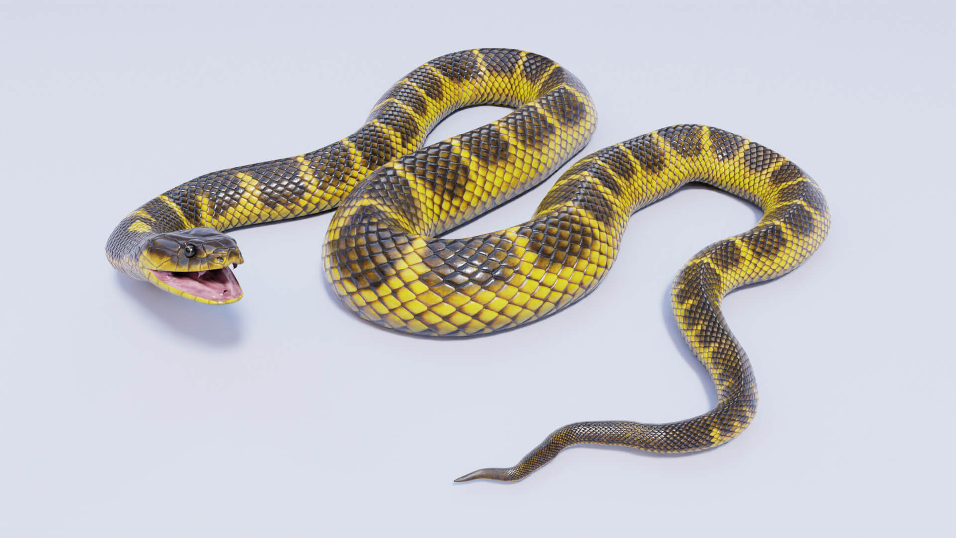 Animated Tiger Snake - 3D Model by Dibia Digital