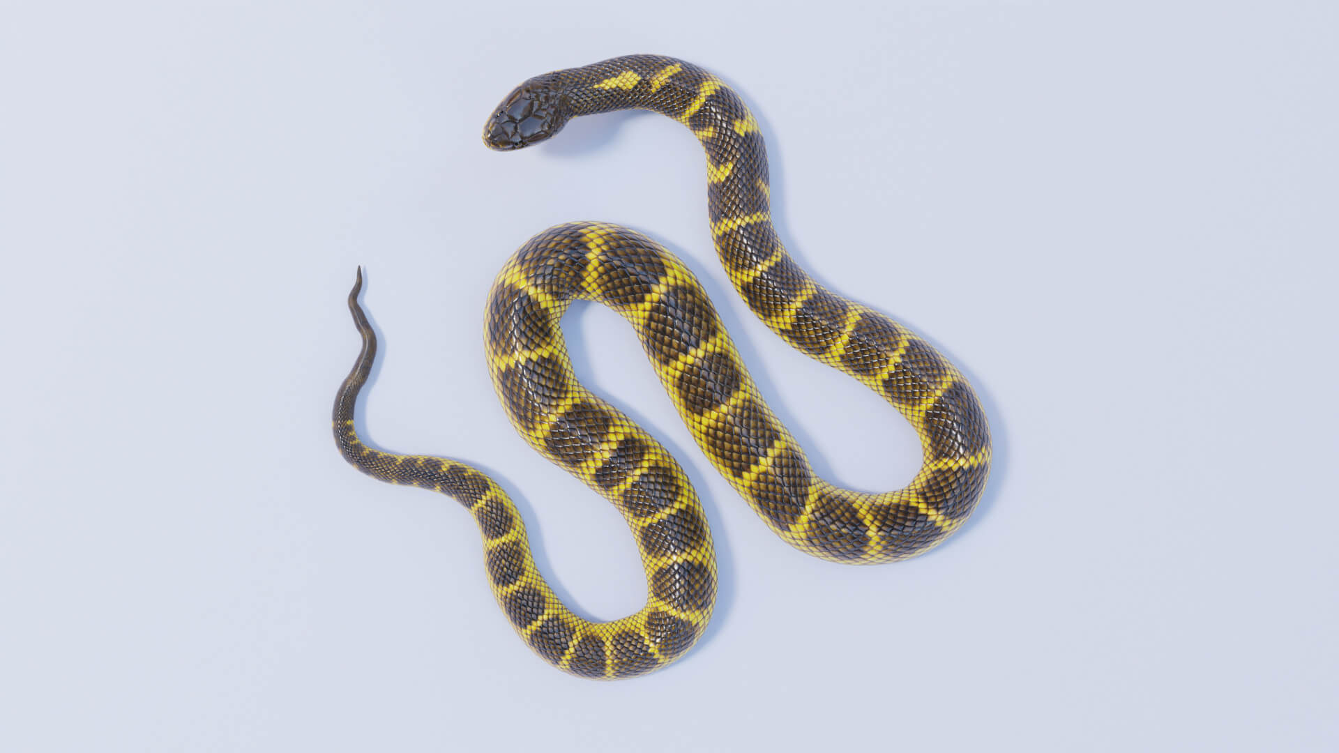 Animated Tiger Snake - 3D Model by Dibia Digital