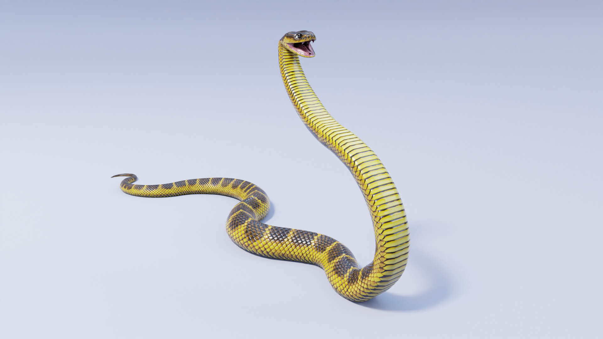 Animated Tiger Snake - 3D Model by Dibia Digital