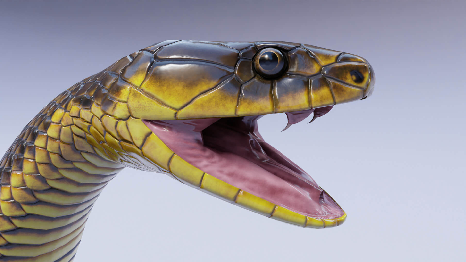 Animated Tiger Snake - 3D Model by Dibia Digital