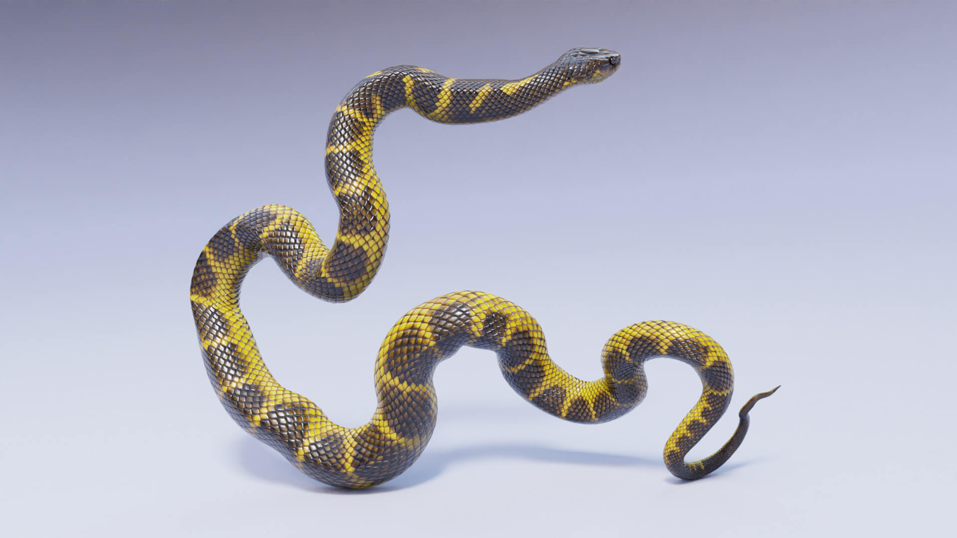 Animated Tiger Snake - 3D Model by Dibia Digital