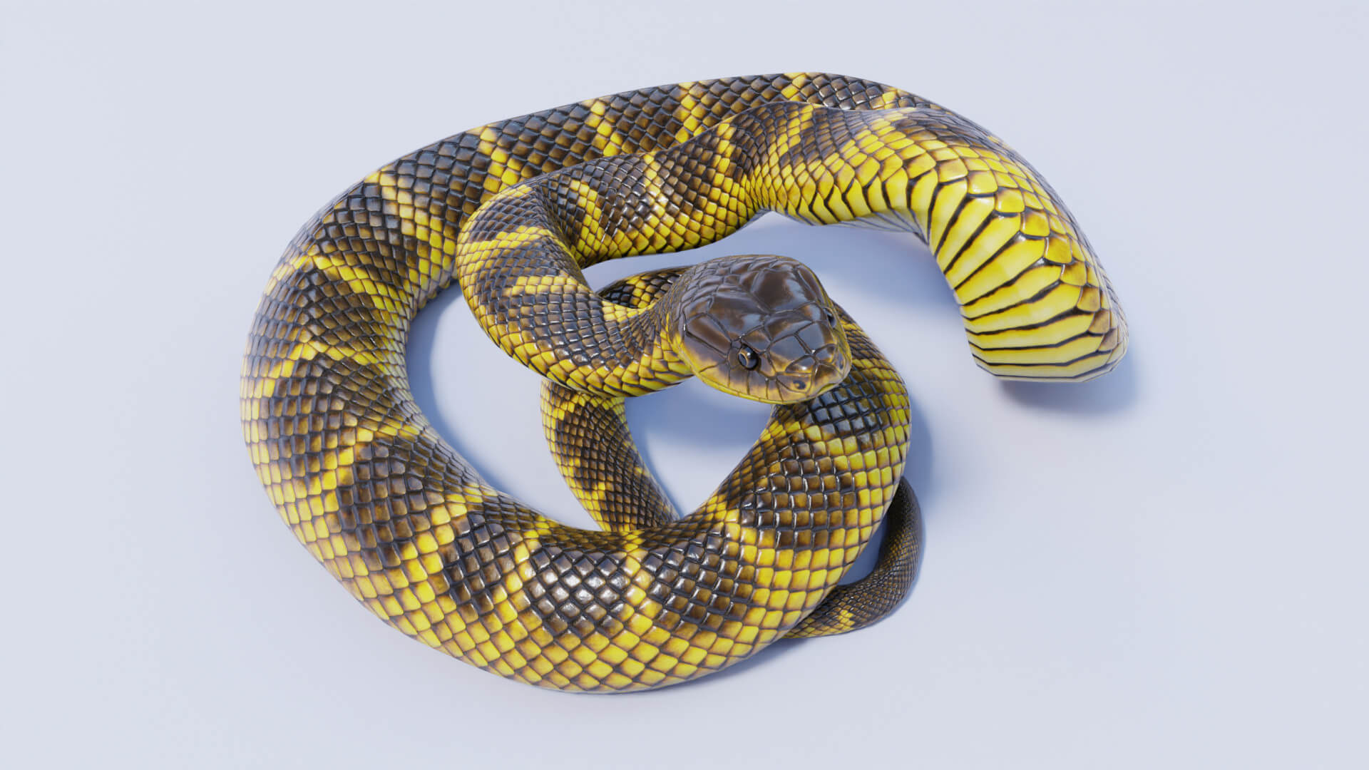 Animated Tiger Snake - 3D Model by Dibia Digital