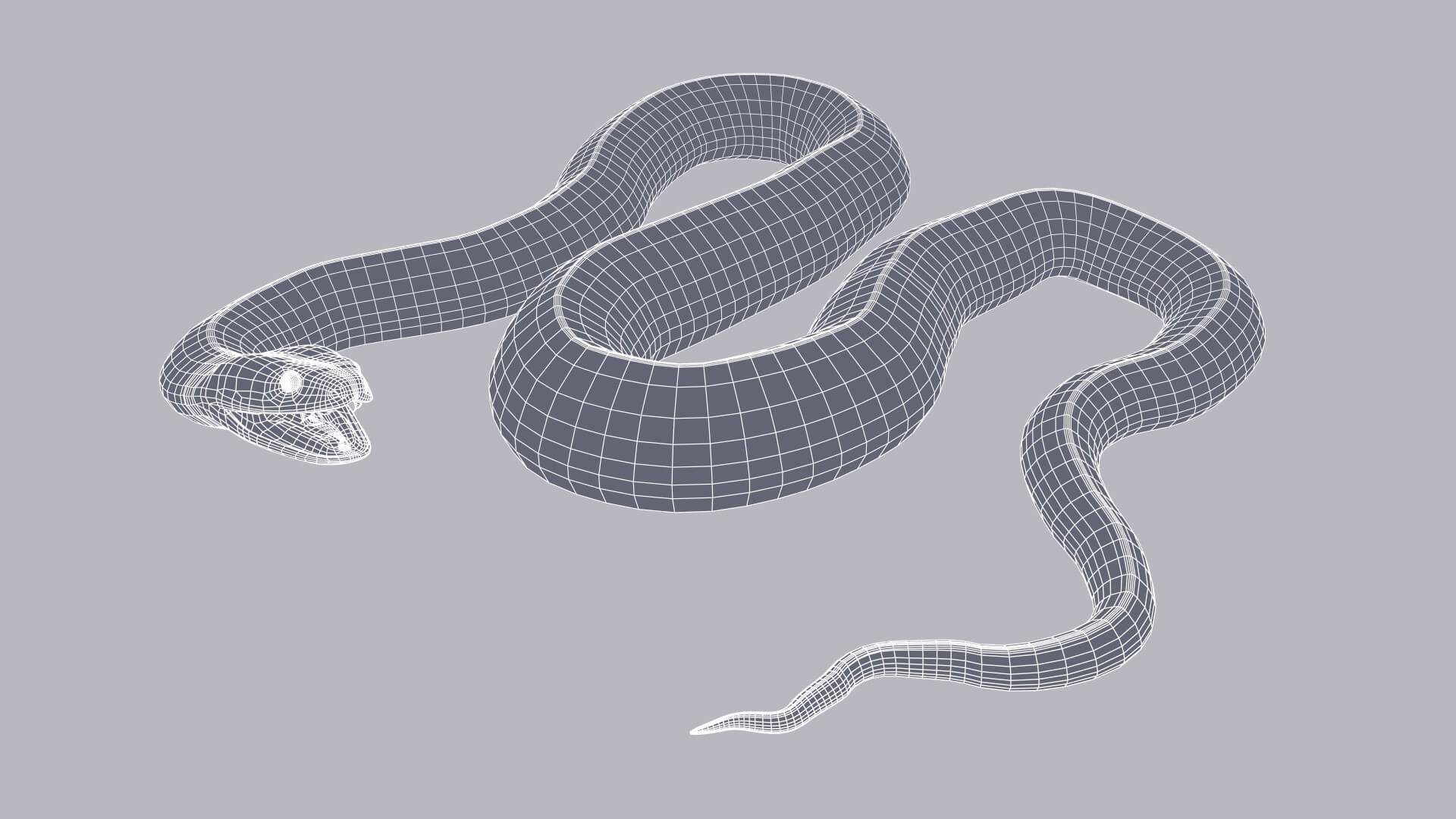 Animated Tiger Snake - 3D Model by Dibia Digital