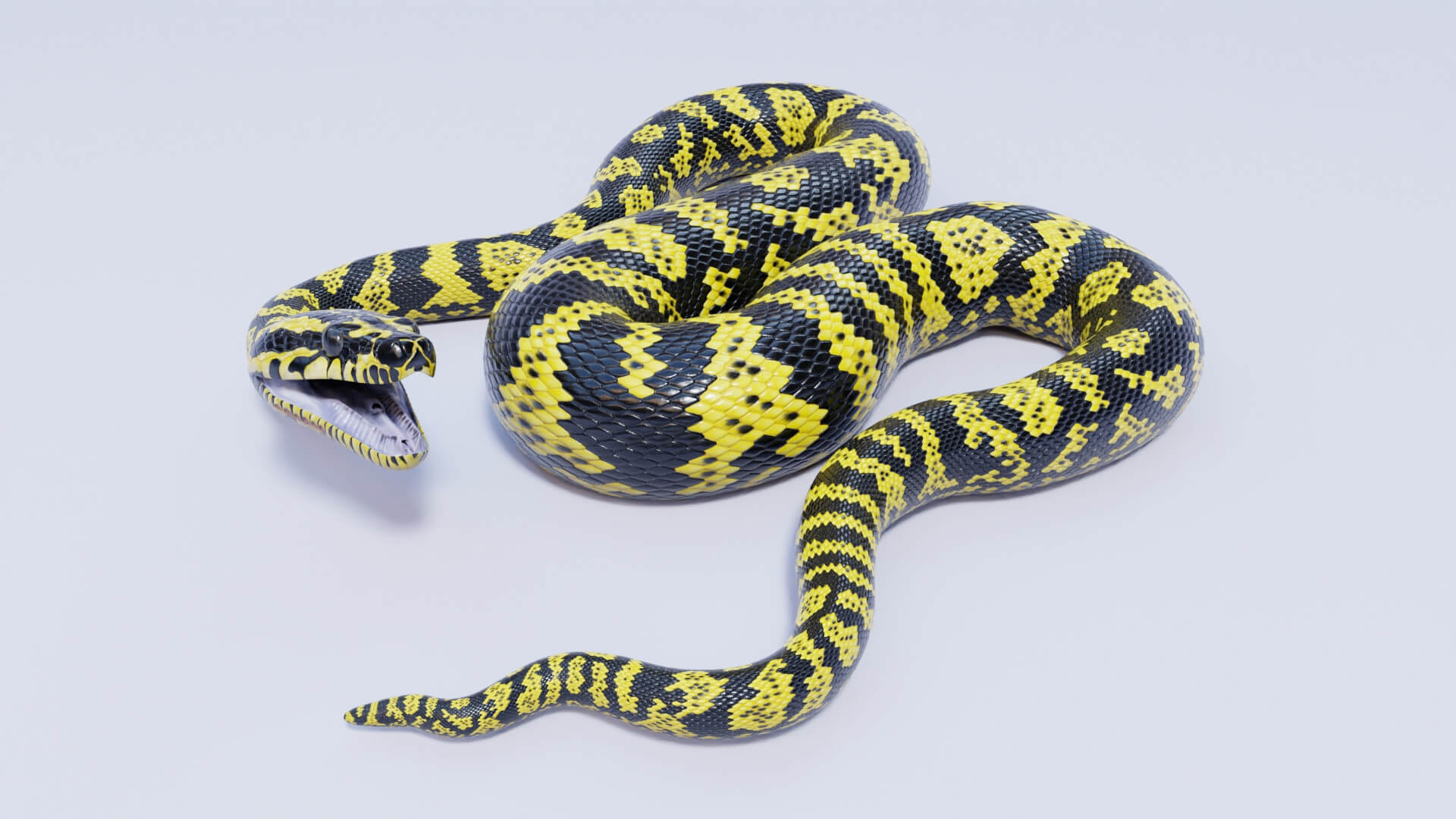 Animated Zebra Jungle Carpet Python - 3D Model by Dibia Digital