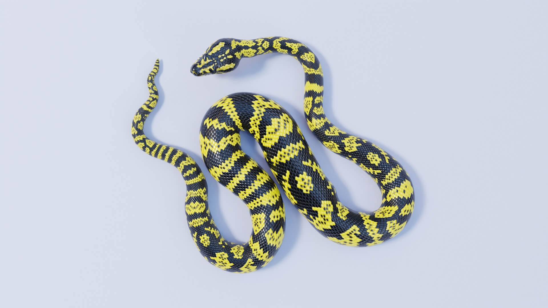 Animated Zebra Jungle Carpet Python - 3D Model by Dibia Digital