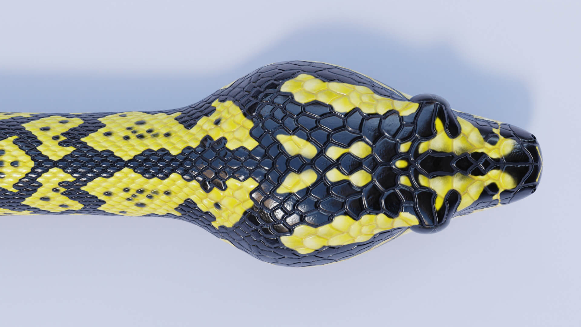 Animated Zebra Jungle Carpet Python - 3D Model by Dibia Digital