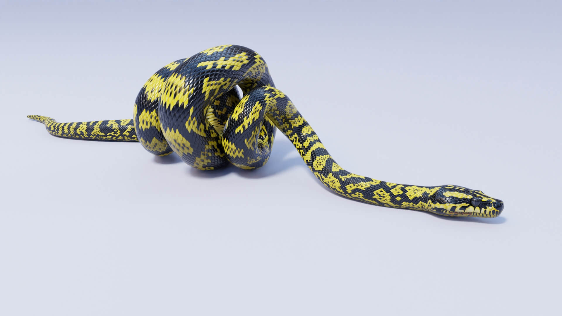 Animated Zebra Jungle Carpet Python - 3D Model by Dibia Digital