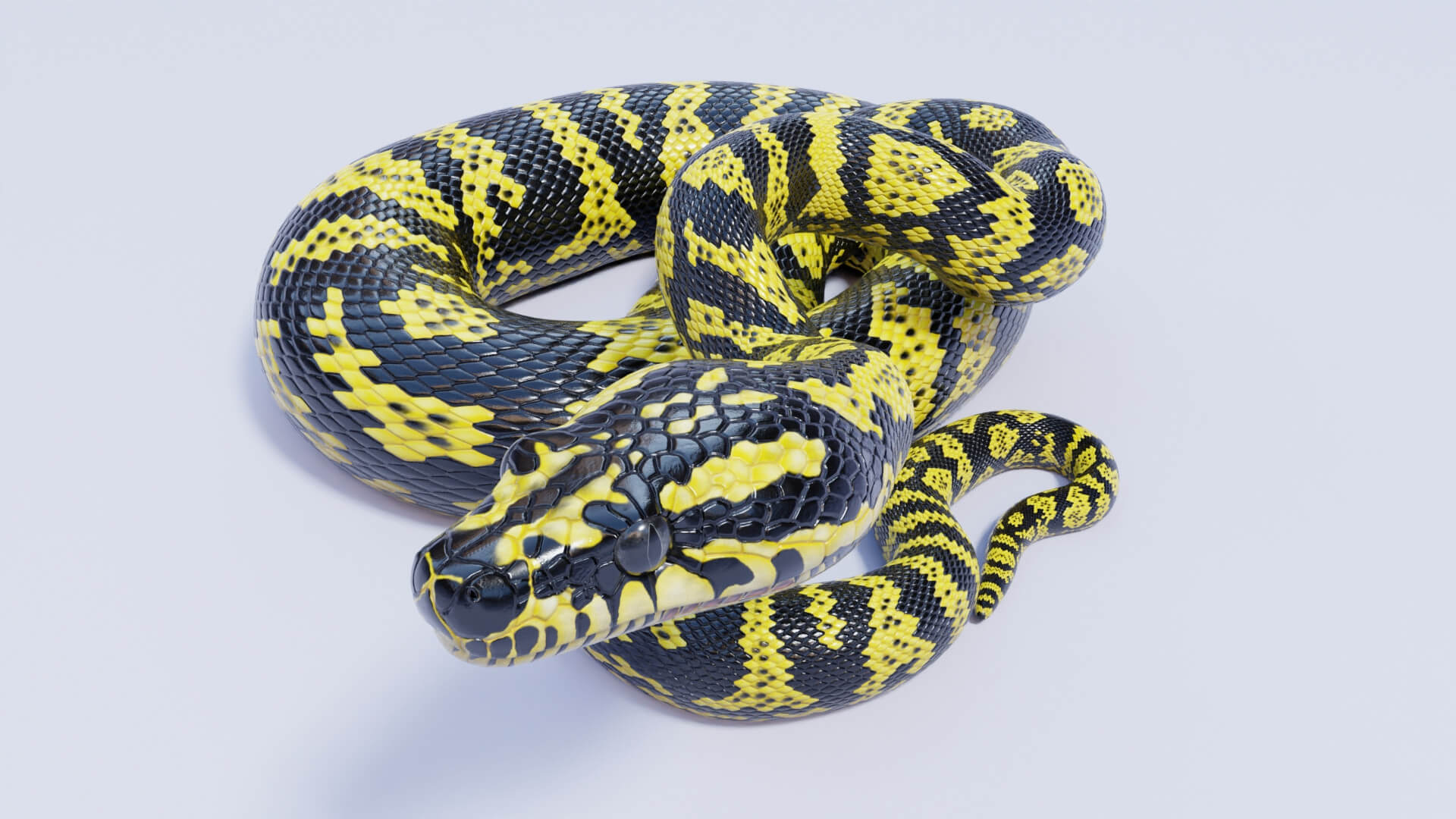 Animated Zebra Jungle Carpet Python - 3D Model by Dibia Digital