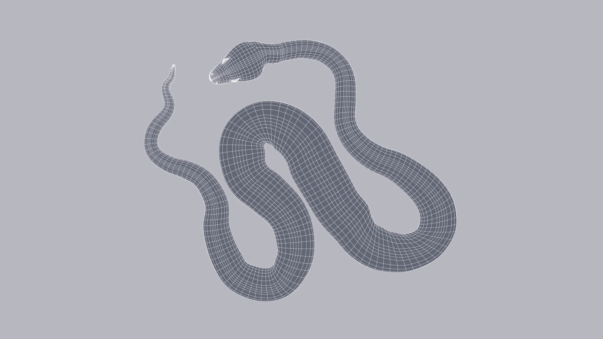 Animated Zebra Jungle Carpet Python - 3D Model by Dibia Digital