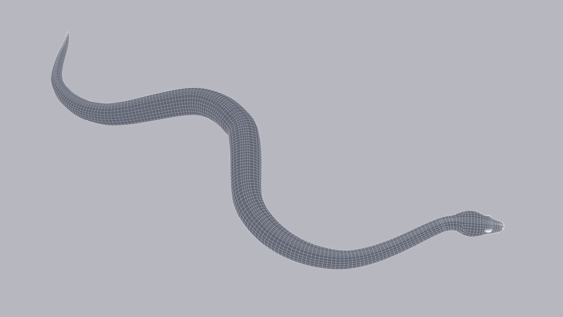 Animated Zebra Jungle Carpet Python - 3D Model by Dibia Digital