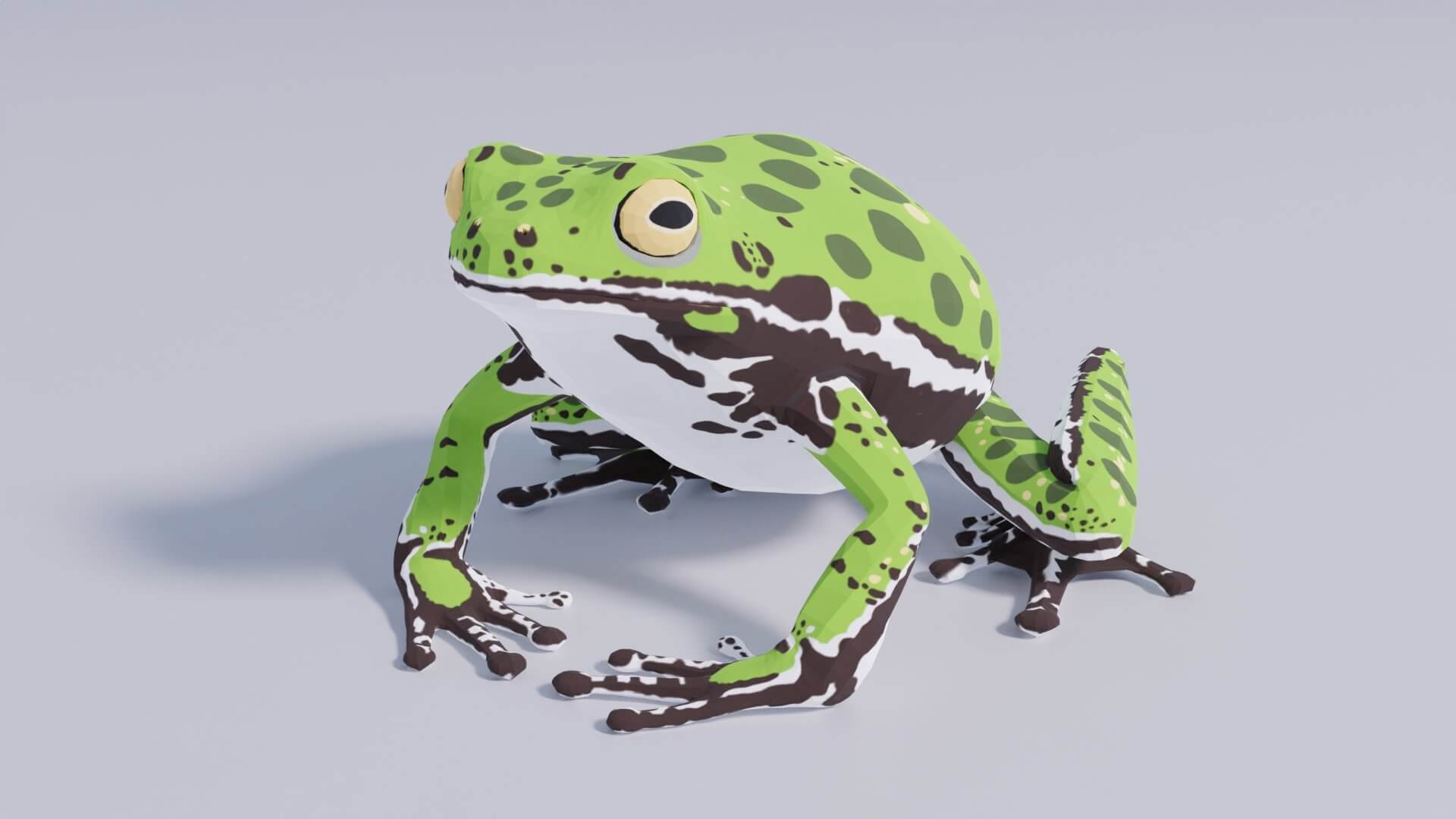 Animated Barking Tree Frog - 3D Model by Dibia Digital