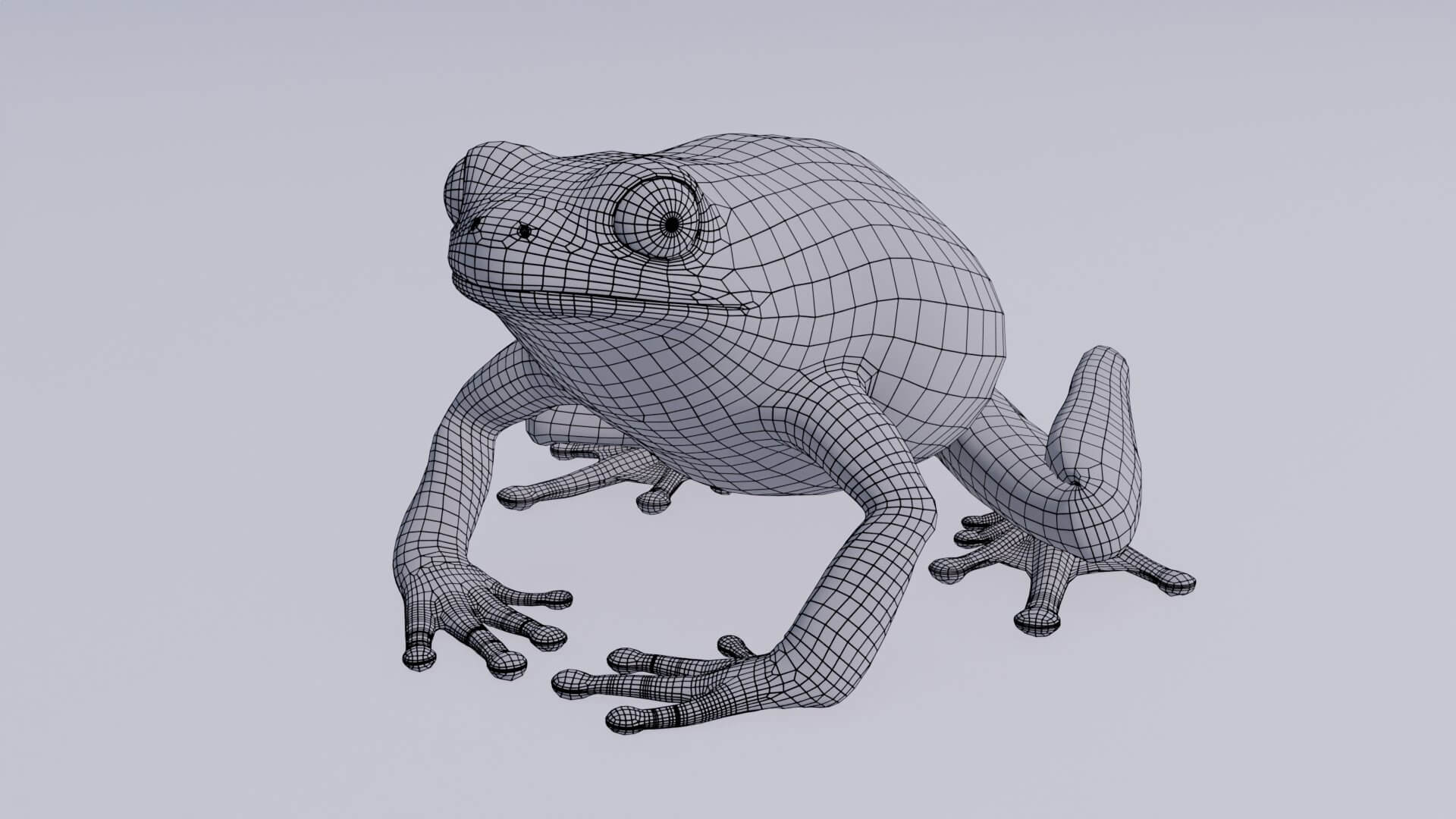 Animated Barking Tree Frog - 3D Model by Dibia Digital