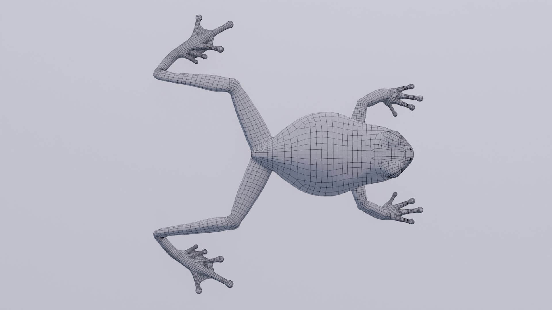 Animated Barking Tree Frog - 3D Model by Dibia Digital