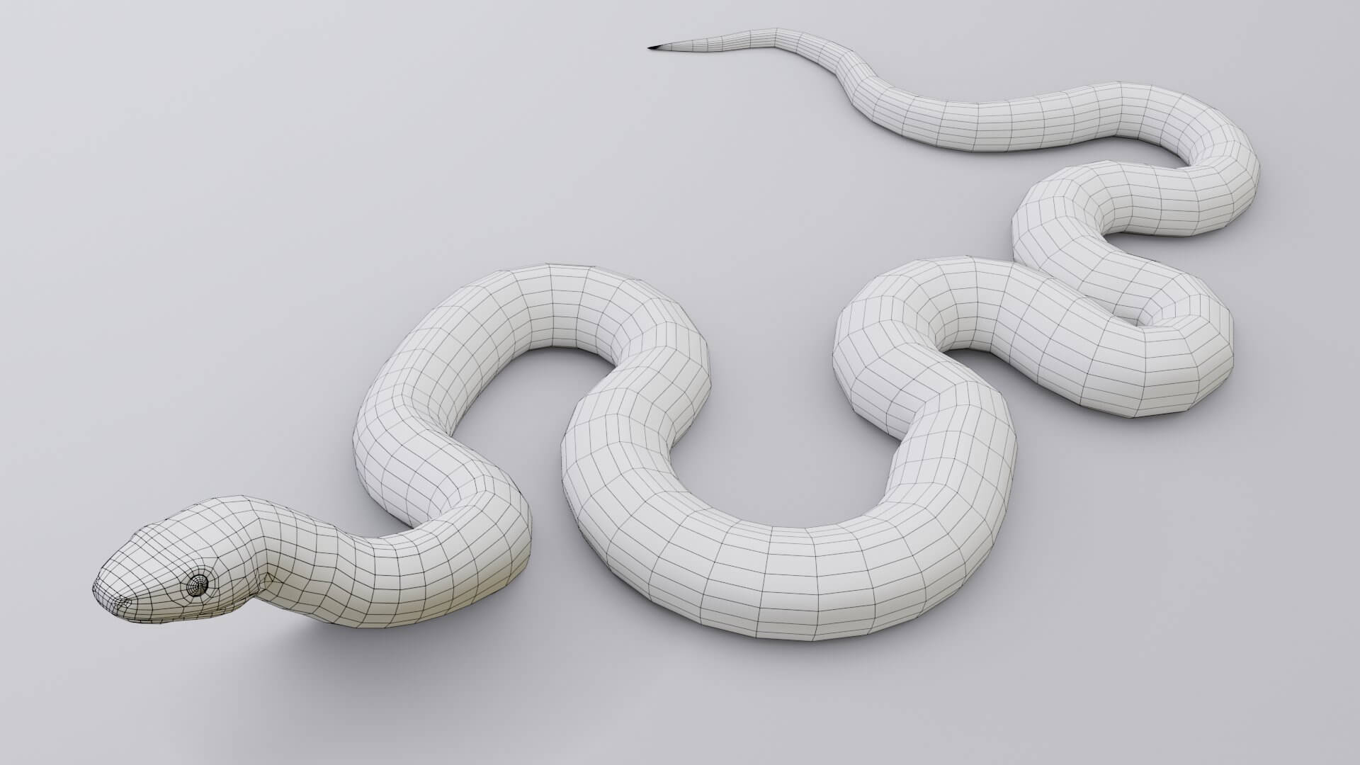 Black Mamba Bundle - 3D Model by Dibia Digital