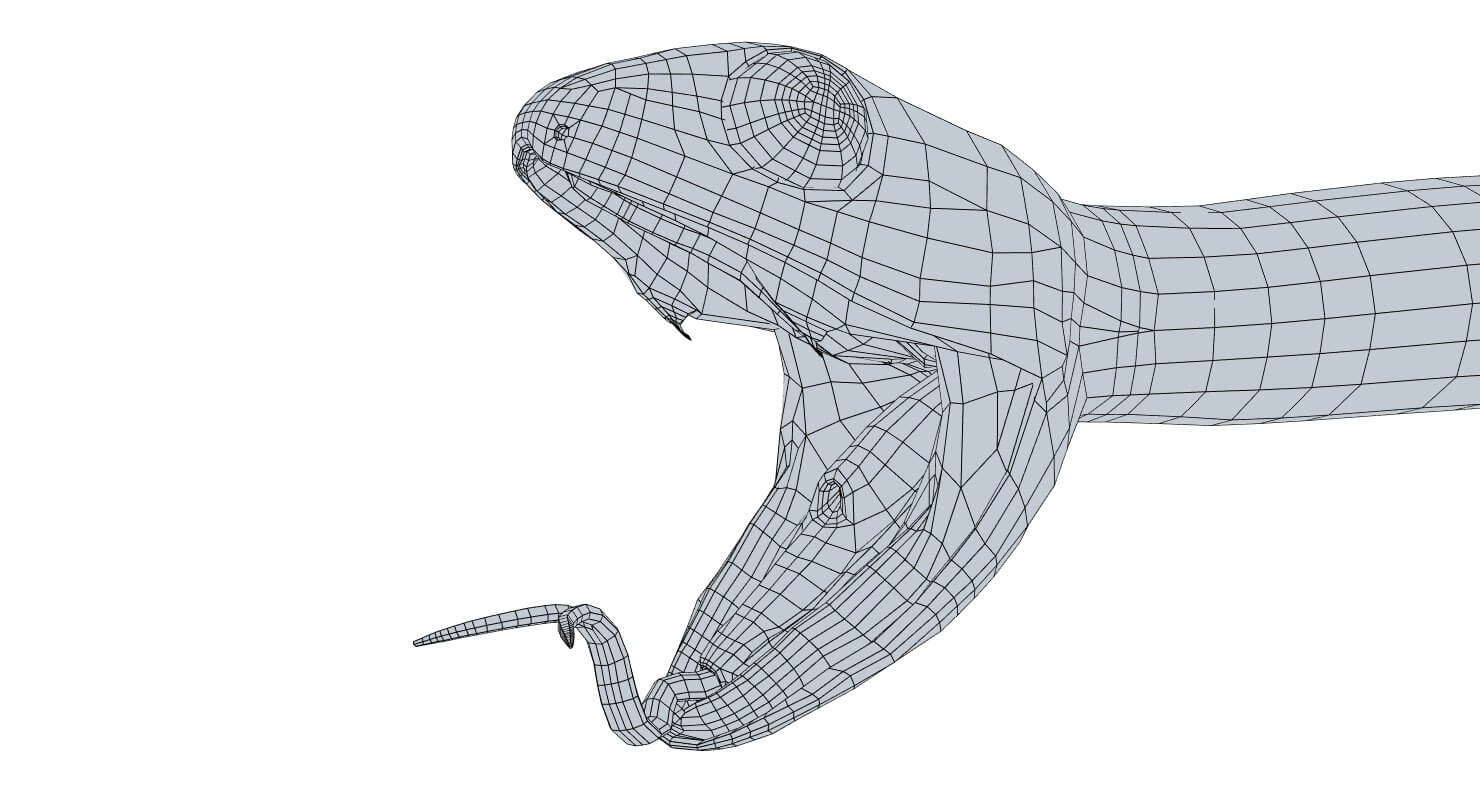 Boomslang Bundle - 3D Model by Dibia Digital