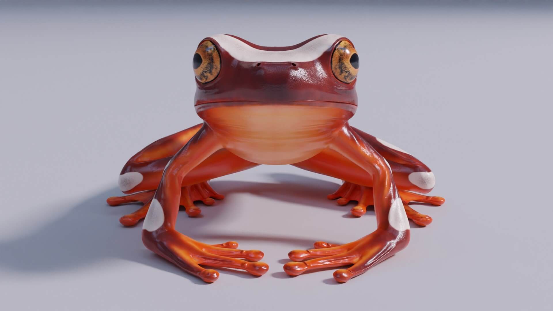 Animated Clown Tree Frog - 3D Model by Dibia Digital