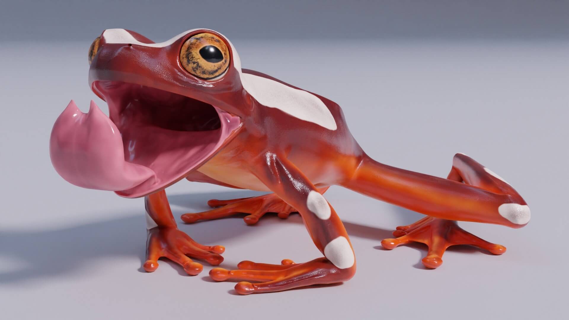 Animated Clown Tree Frog - 3D Model by Dibia Digital